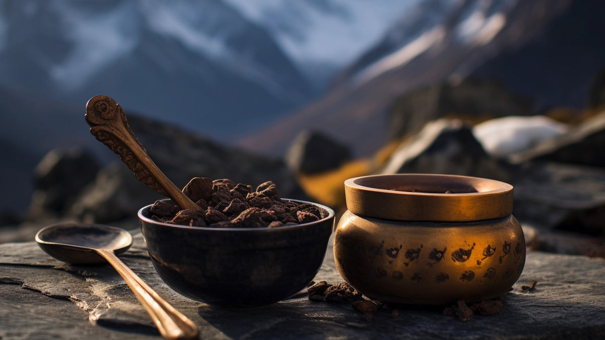 Himalyan Shilajit – Guardian Angel Naturals